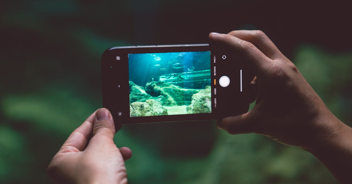 Mobile Ecosystem: How It Transforms Our Lives and Business in the ...